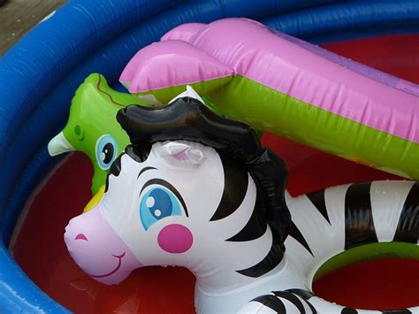 Pool Inflatable Toy Free Photo On Pixabay Pixabay