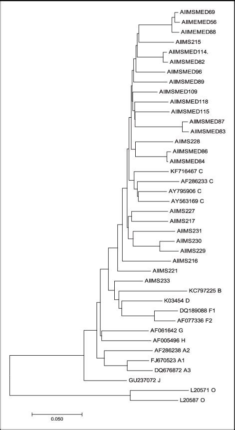 Phylogenetic Tree Of Hiv 1 Subtype In Patients With Hiv And