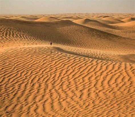 Fakta Menarik Gurun Sahara Apa Saja SocialConnext X Perhumas