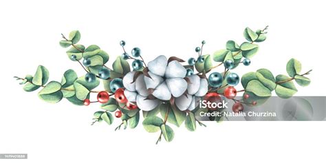면화와 열매가있는 유칼립투스 가지의 크리스마스 구성 아늑한 겨울의 큰 세트에서 수채화 그림 크리스마스 카드의 장식 및 장식 장식
