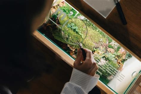 台北市區森林遊樂園0km山物所登場 打造全球首座台灣山系概念店 生活 三立新聞網 SETN