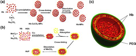 Fabrication Of Aocs By Coprecipitation And Subsequent Chemical