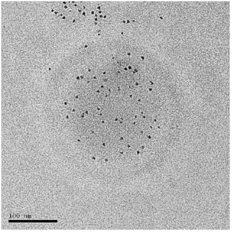 Composite Drug Loading Sustained Release Microsphere System Entrapped With Quantum Dots And