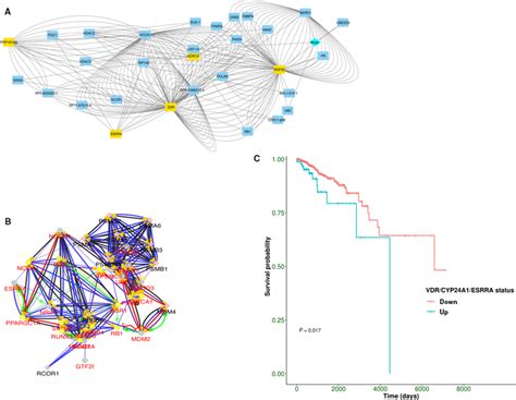 Interactome Analysis And Survival In The Tcga Dataset A Biogrid