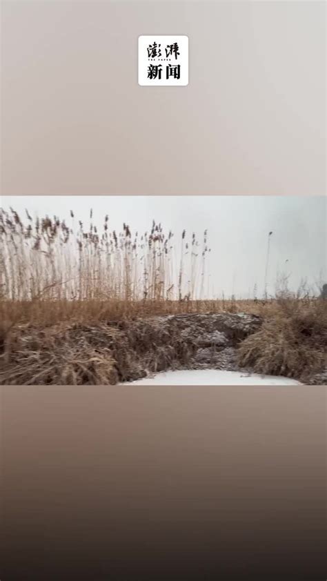 男子假期结束返程打工，狗子狂奔追主人车凤凰网视频凤凰网