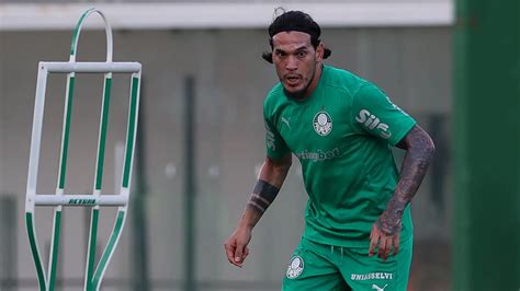 Gustavo Gómez Sofre Lesão No Ligamento Do Joelho E Desfalca Palmeiras