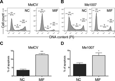 Effects Of Mif Knockdown On Cell Cycle And Apoptosis Dna Content
