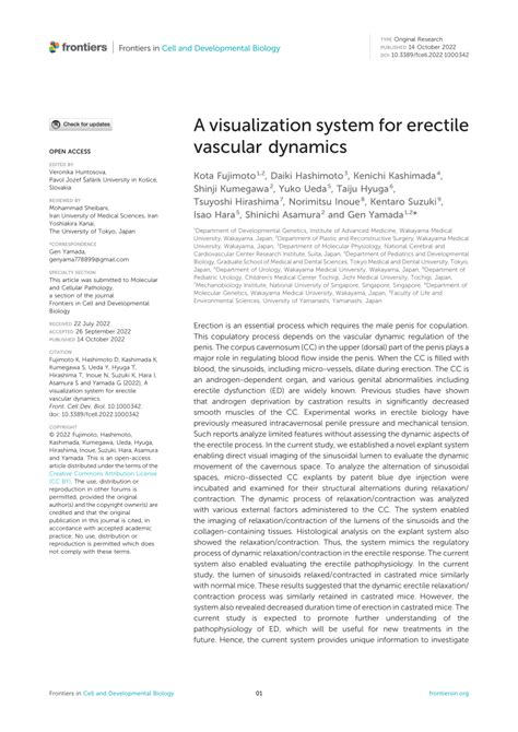 Pdf A Visualization System For Erectile Vascular Dynamics