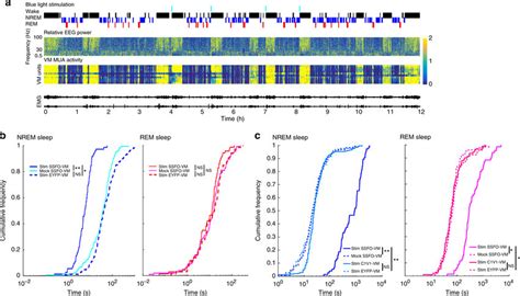 Prolonged Ssfo Mediated Activation Of Vm Neurons Awakens Mice From Nrem