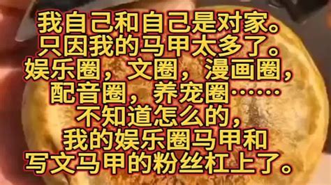 我自己和自己是对家。只因我的马甲太多了。娱乐圈，文圈，漫画圈，配音圈，养宠圈……不知道怎么的，我的娱乐圈马甲和写文马甲的粉丝杠上了。眼看事件越