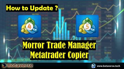 How To Update Metatrader Copier Mt5 Forex Copy Trading Metatrader