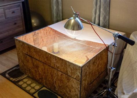 11 Easy Diy Chick Brooder Box Ideas With Photos ~ Homestead And Chill