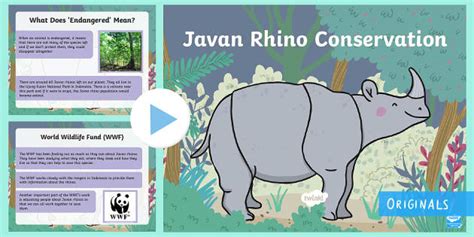 Javan Rhino Conservation PowerPoint Teacher Made Twinkl