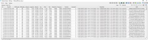How To Process Only The Nadir Camera In Agisoft Ortho Mapping LP