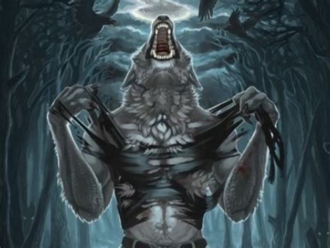 Você É Um Lobisomem Pidão Quizur