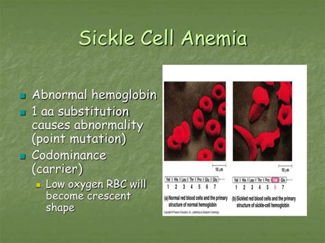 PPT Genetic Disorders PowerPoint Presentation ID 6387428