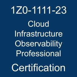 1Z0 1111 23 Exam To Rise Shine As Oracle Cloud Infrastructure 2023