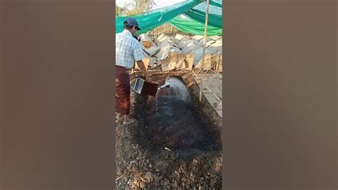 ကောက်ရိုးမှို စိုက်ပျိုးခြင်း တော်ဝင်မှို Youtube