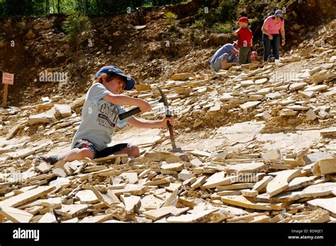 Fossil Searching Area Limestone Quarry For Hobby Fossil Collectors