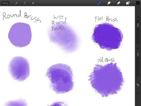 Procreate One Of The Most Beautiful And Powerful IPad Art Apps