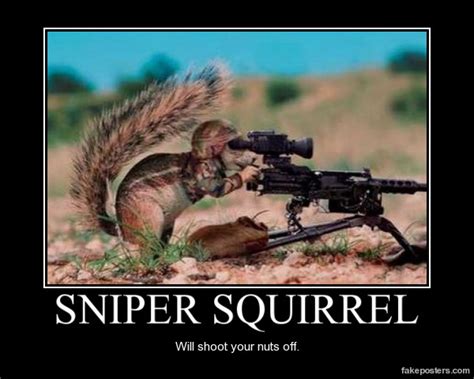 Squirrel With Sniper