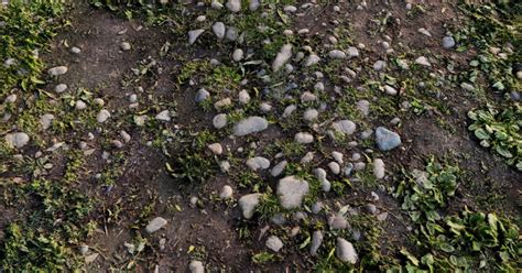 Tutorial Surface Photogrammetry For Beginners