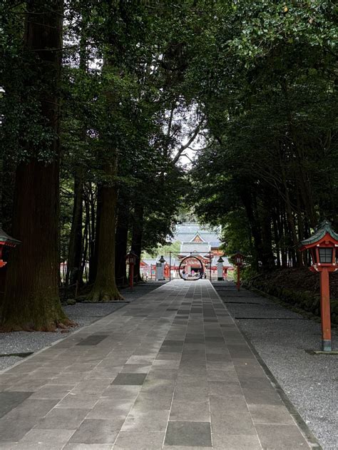 朝の霧島神宮 みきこが日々の体験を綴るブログ