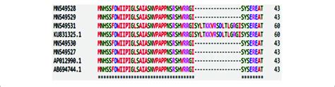 Amino Acid Sequence Analysis Of ORFs Of P16 Polymorphic Amplicons