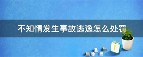 不知情发生事故逃逸怎么处罚 业百科