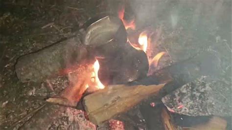 ღამე ტყეში ცეცხლის დანთება ქარში ქოხის აშენების გაგრძელება ჩაი კოცონზე Youtube