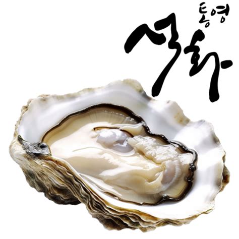 석화 통영 생굴 최상급 1kg 2kg 3kg 5kg 당일채취 당일발송 생굴3kg 1개 리뷰인포