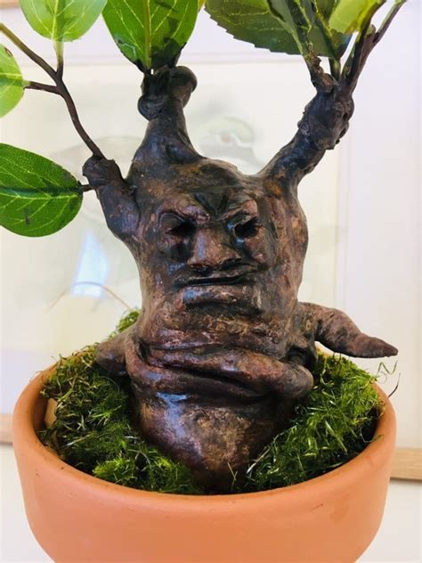 Raíz De Mandrágora Harry Potter Inspirado Raíces De Mandrake Etsy