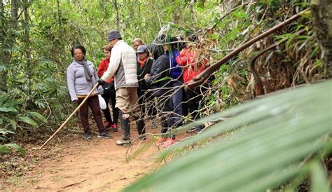 Mogi das Cruzes agenda visitas monitoradas à Ilha Marabá e ao Parque Municipal Mogi das Cruzes