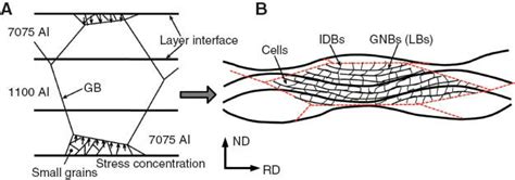 Schematic Diagram Showing Grain Refinement During Cold Rolling A