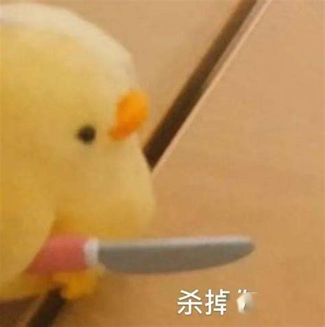 憨憨表情包 爷 I了汪星人