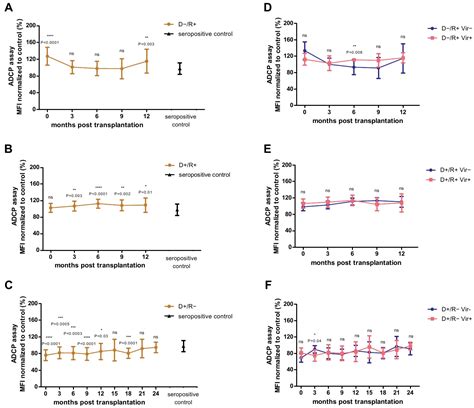 Ijms Free Full Text Analysis And Fine Specificity Of The Hcmv