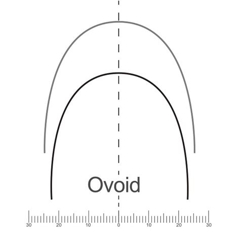 100pcs Dental Orthodontic Arch Wire Niti Super Elastic Round Rectangular Ovoid Ebay