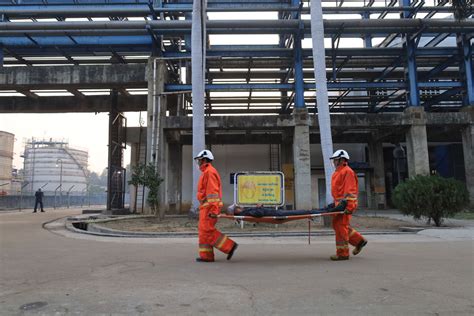 Photo Gallery Details