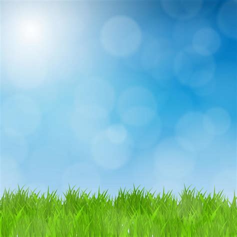 Green Grass Field And Blue Sky Natural Background Vector Illustration