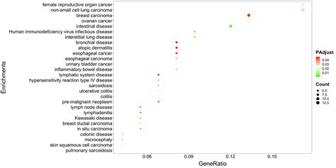 Tools Single Cell Analyst