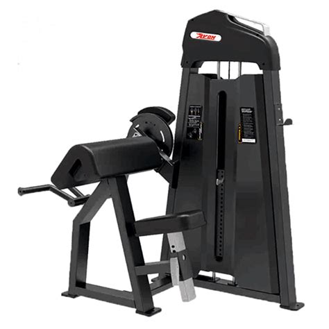 Biceps Curl Grade Commercial Use At Best Price In Guwahati Avon Fitness Zone