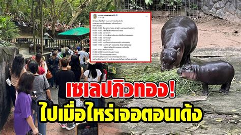 เปิดตาราง กิจวัตรประจำวัน “หมูเด้ง” กิน นอน ตอนไหน เช็กคิวให้ชัวร์ จะ