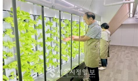 서울시정 이상기후에도 끄떡없는 도심 속 스마트팜9월부터 6곳 개장지능형 농장 서울시정 이상기후에도 끄떡없는 도심 속 스마트팜9월부터 6곳 개장지능형 농장