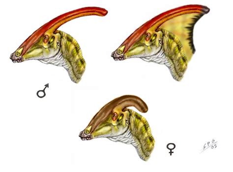 Parasaurolophus Walkeri By Unlobogris On Deviantart