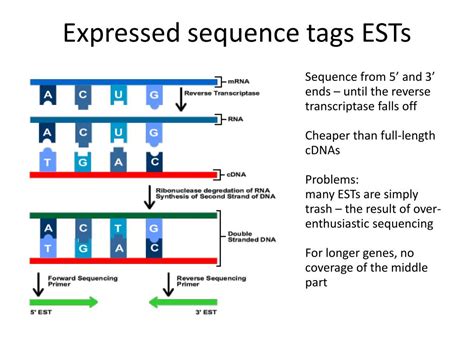 PPT Tag Based Expression Function Analysis PowerPoint Presentation Free Download ID
