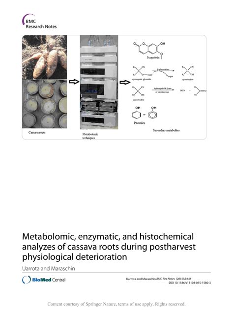 Pdf Metabolomic Enzymatic And Histochemical Analyzes Of Cassava