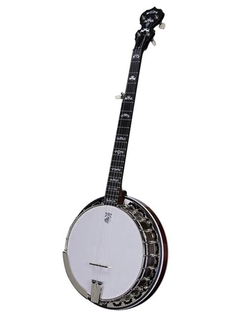 Banjos For Sale Beginner Bluegrass Banjos Banjo Store Online
