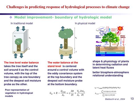 Ppt Role Of Vegetation In Modeling Response Of Hydrological Processes
