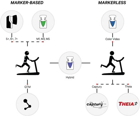 marker based and markerless motion capture qualisys
