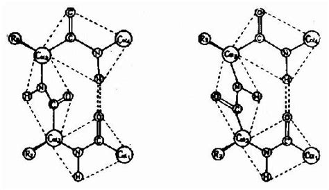 蛋白质的二级结构 《生物化学与分子生物学》 中医杂集书籍 【岐黄之术】